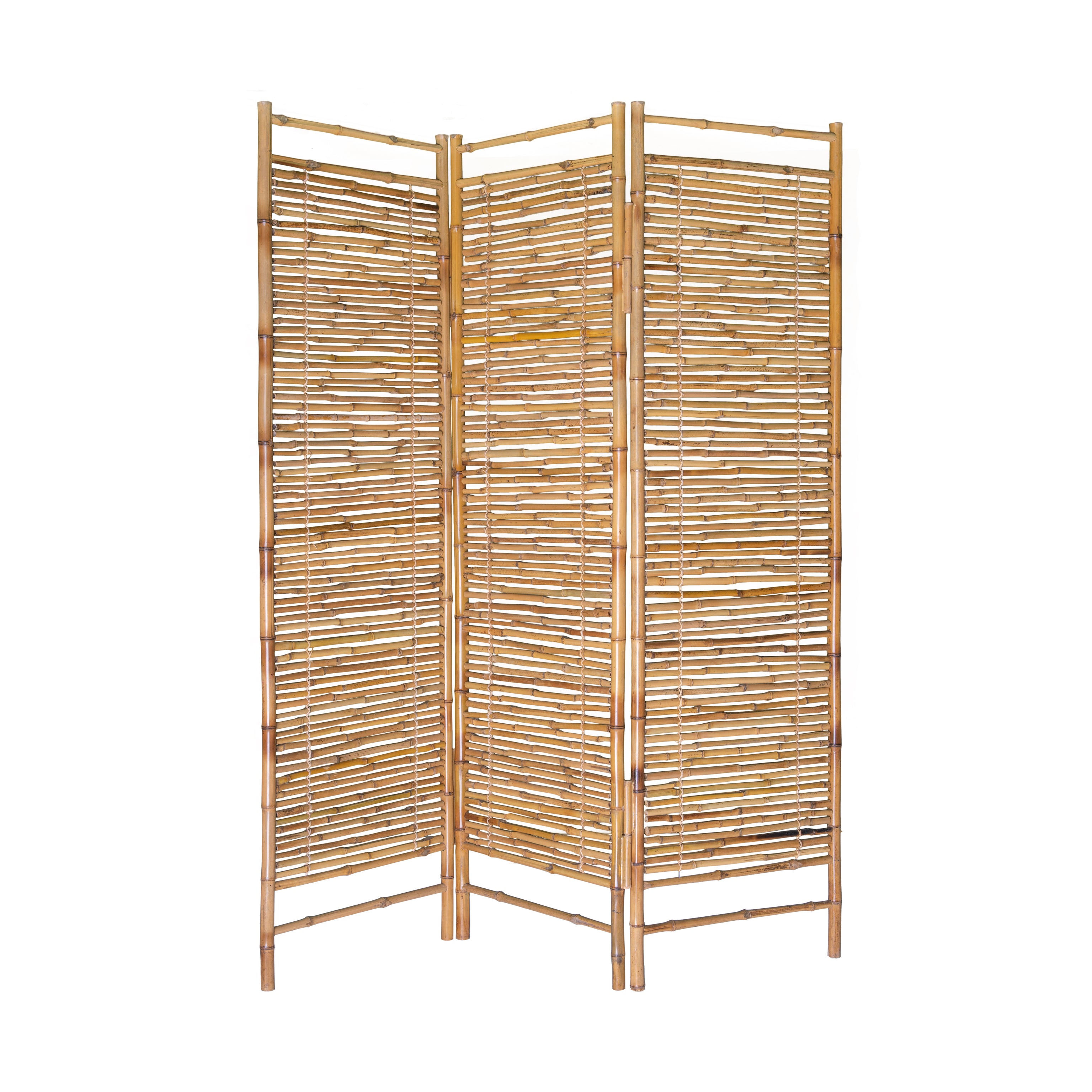 Paravane – Komodocasa